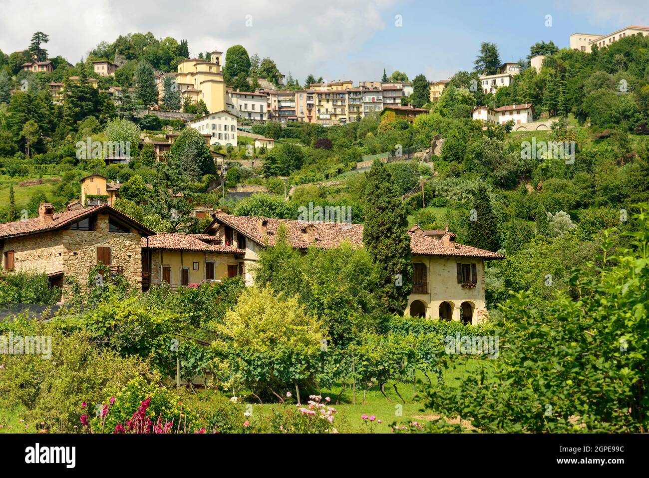 cityscape of the neighbourhood that is part of the hilltop part of the ...