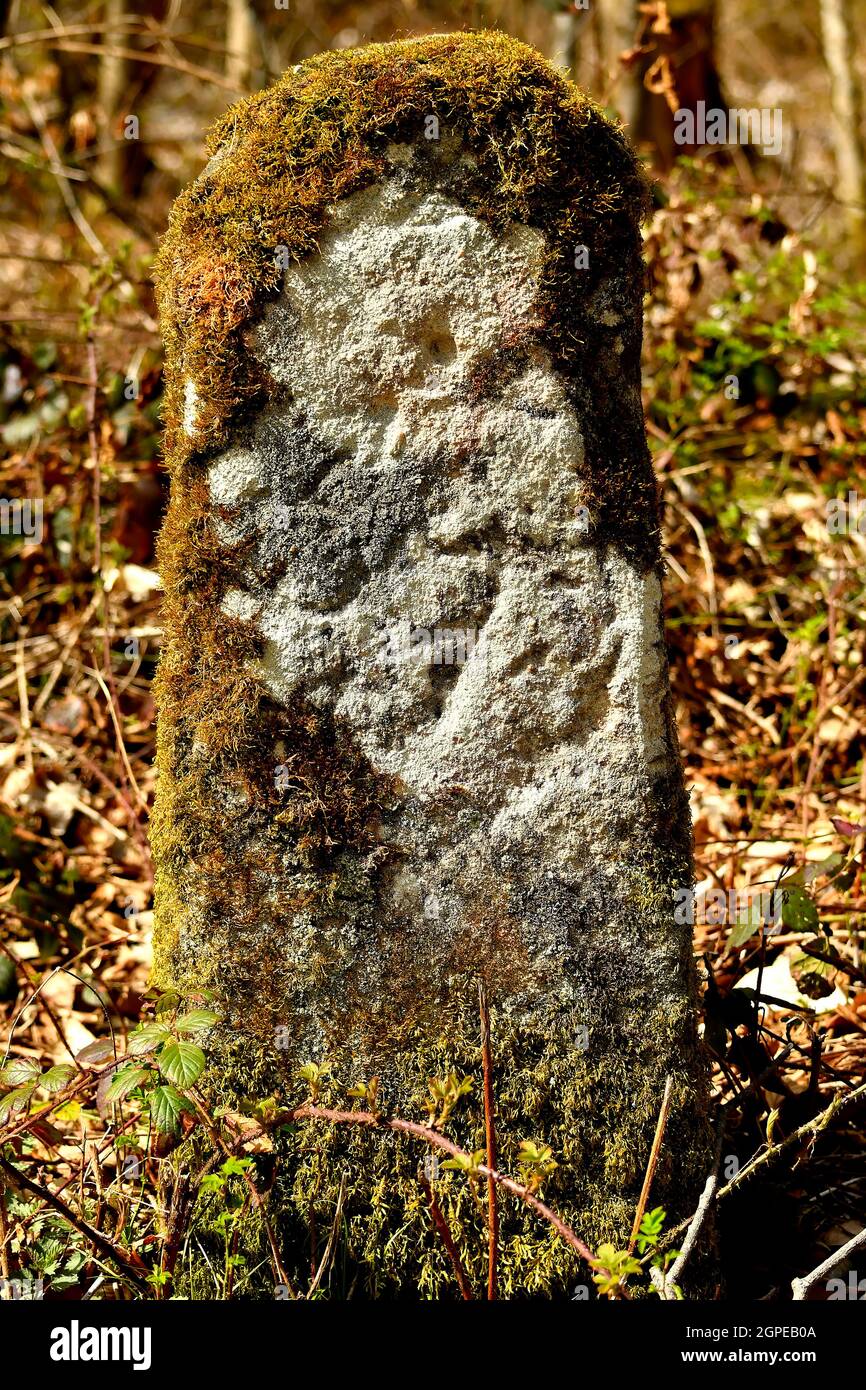 old border stone in a forest in Germany Stock Photo - Alamy