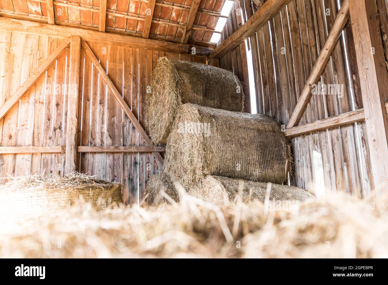 Bales of hay/straw on a farm, countryside, indoors Stock Photo - Alamy