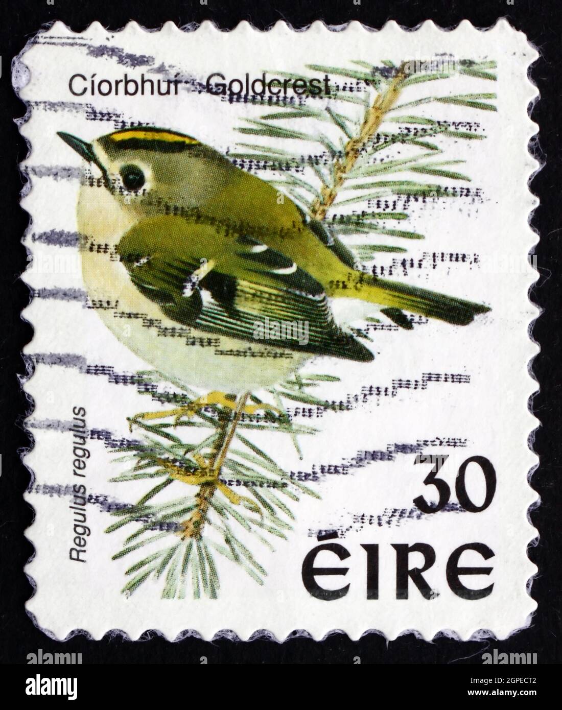 IRELAND - CIRCA 1998: a stamp printed in the Ireland shows Goldcrest ...