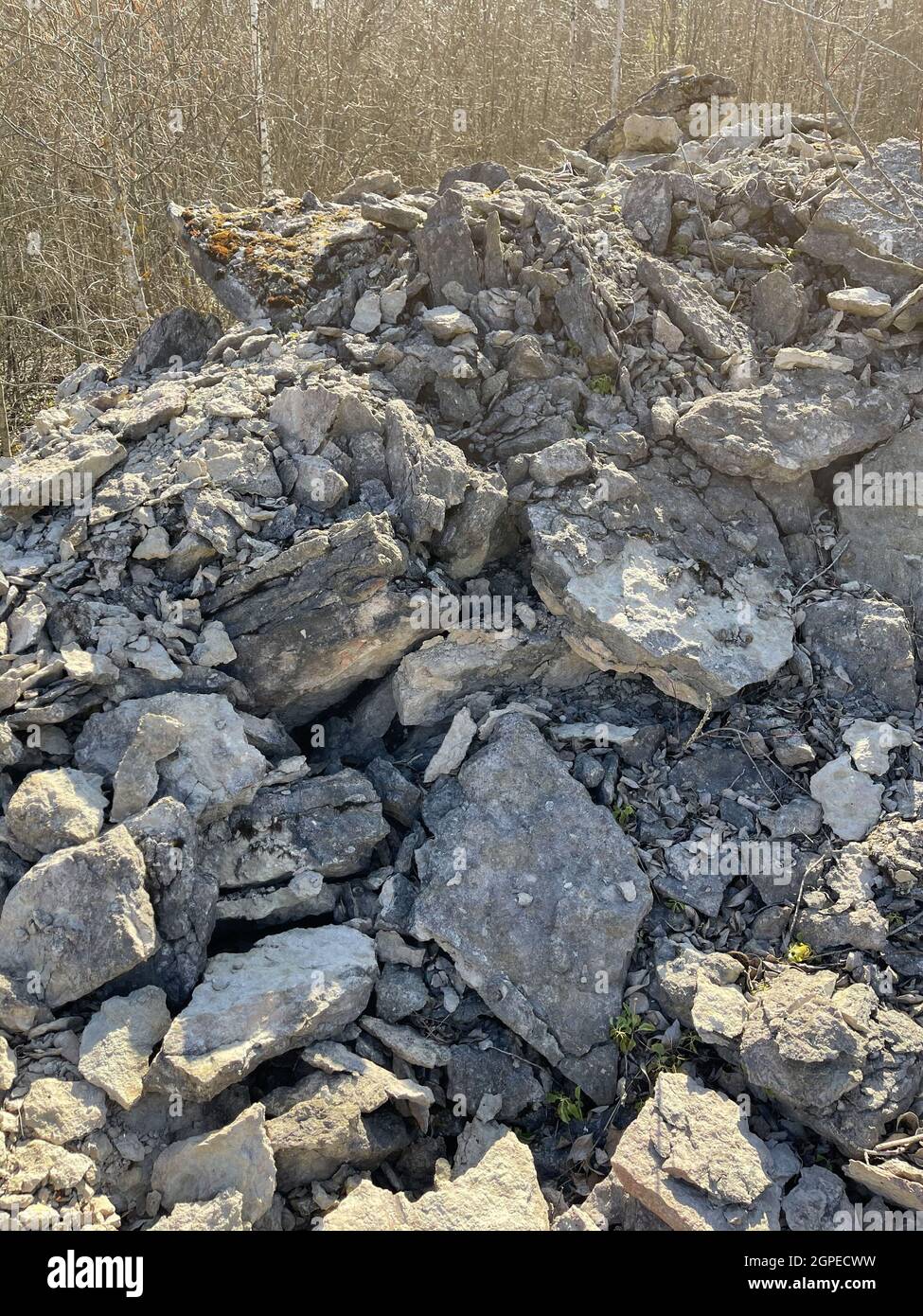 Limestone with fossil, geological and archaeological excavations Stock ...