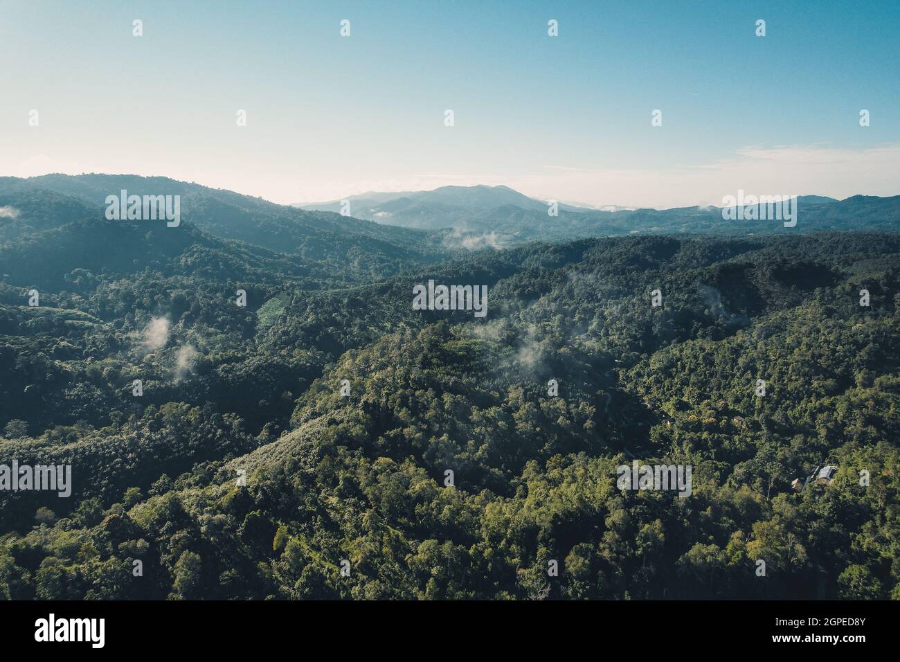 High angle view of the forest and fog in the morning,Above Stock Photo ...