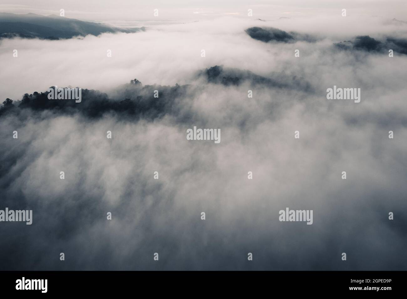 High angle view of the forest and fog in the morning,Above Stock Photo ...