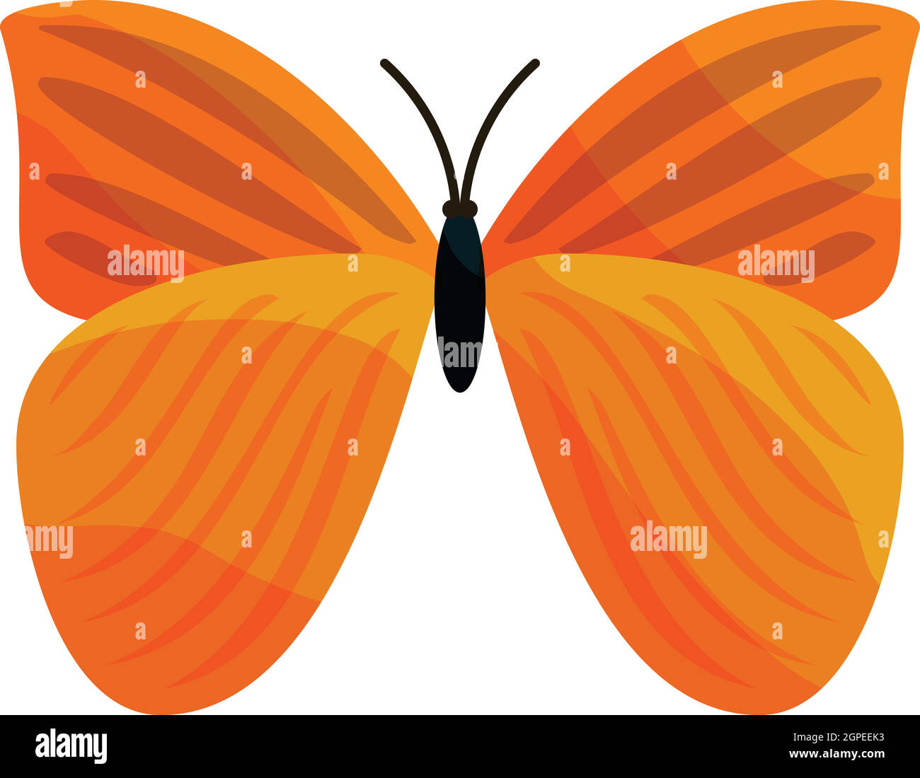 Yellow moth insect animal Stock Vector Images - Alamy