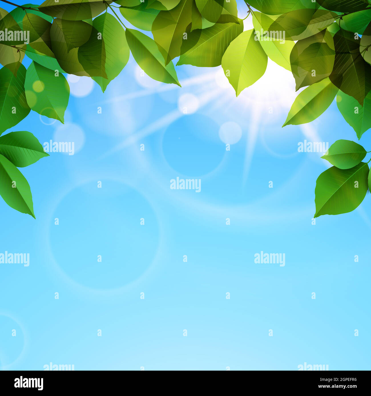 Green foliage spring tree morning Stock Vector Images - Alamy