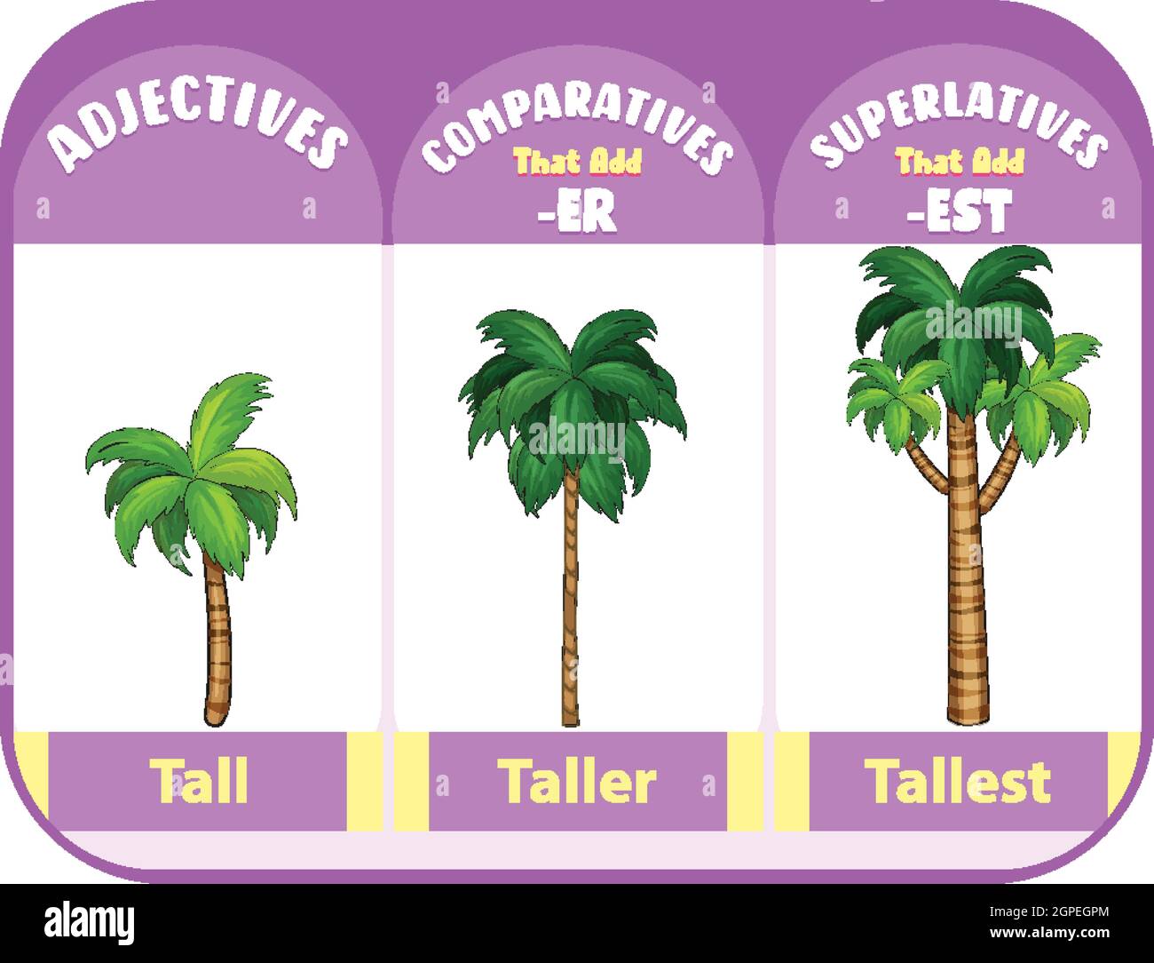 Comparative and Superlative Adjectives for word tall illustration Stock ...