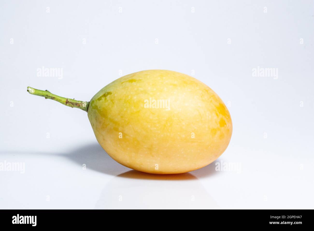 Plango white background Stock Photo - Alamy