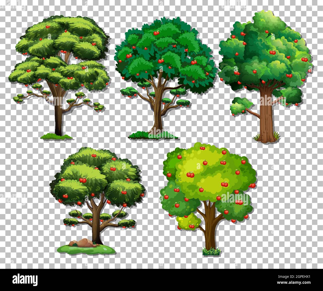 Set of different trees on transparent background illustration Stock ...