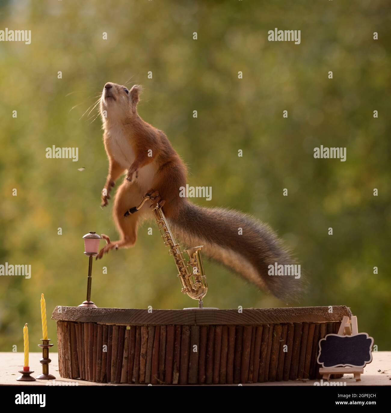 Balancing tools hi-res stock photography and images - Alamy