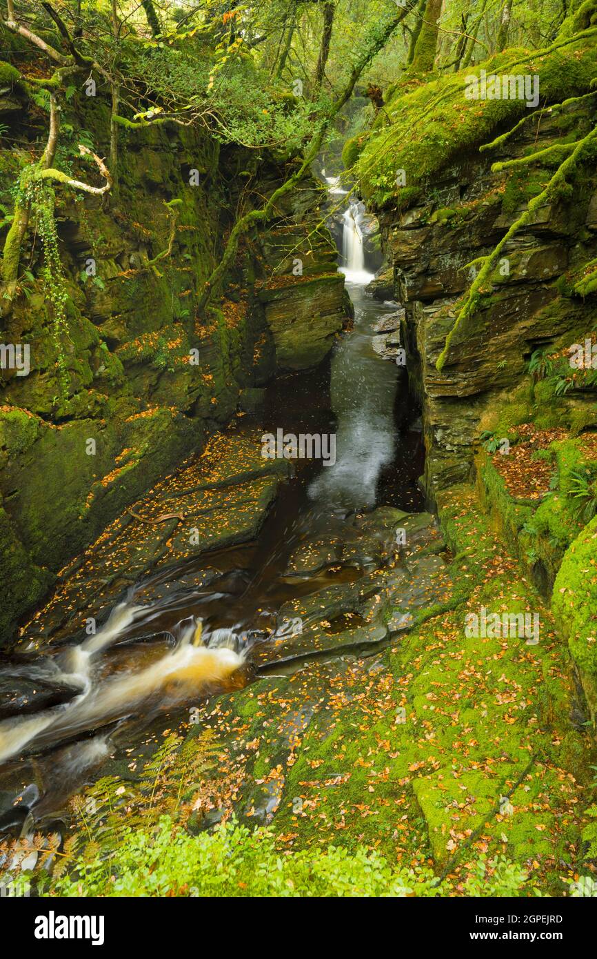 Cynfal falls hi-res stock photography and images - Alamy
