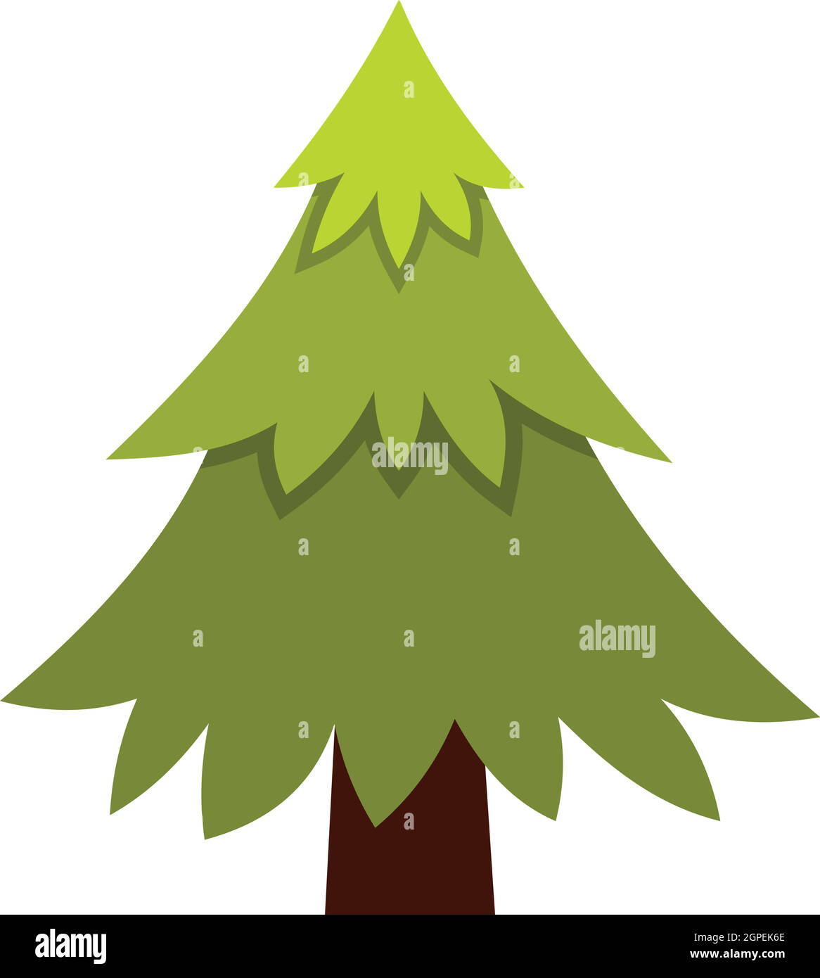 Isolated young spruce Stock Vector Images - Alamy