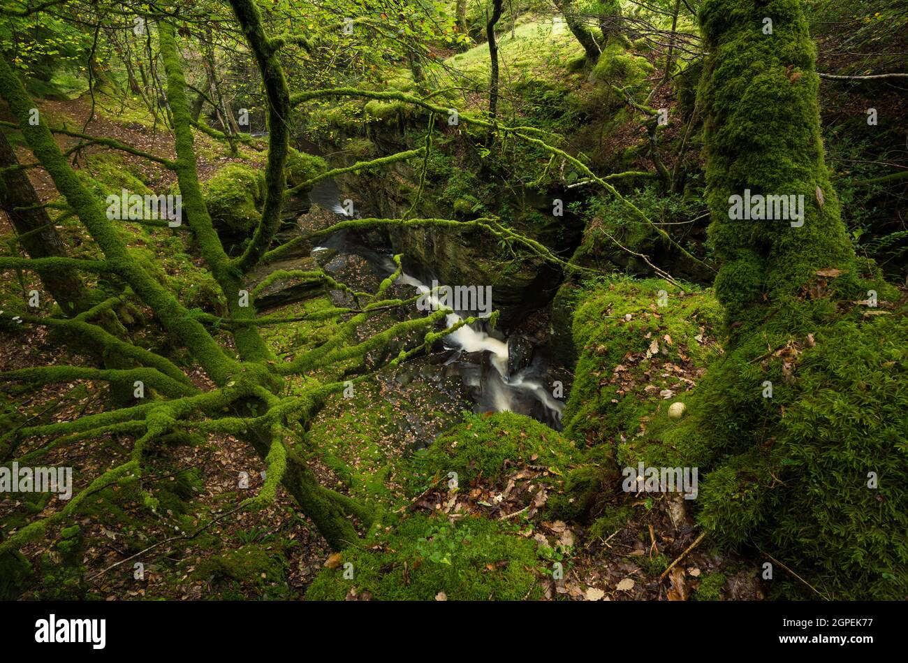 Cynfal waterfall hi-res stock photography and images - Alamy