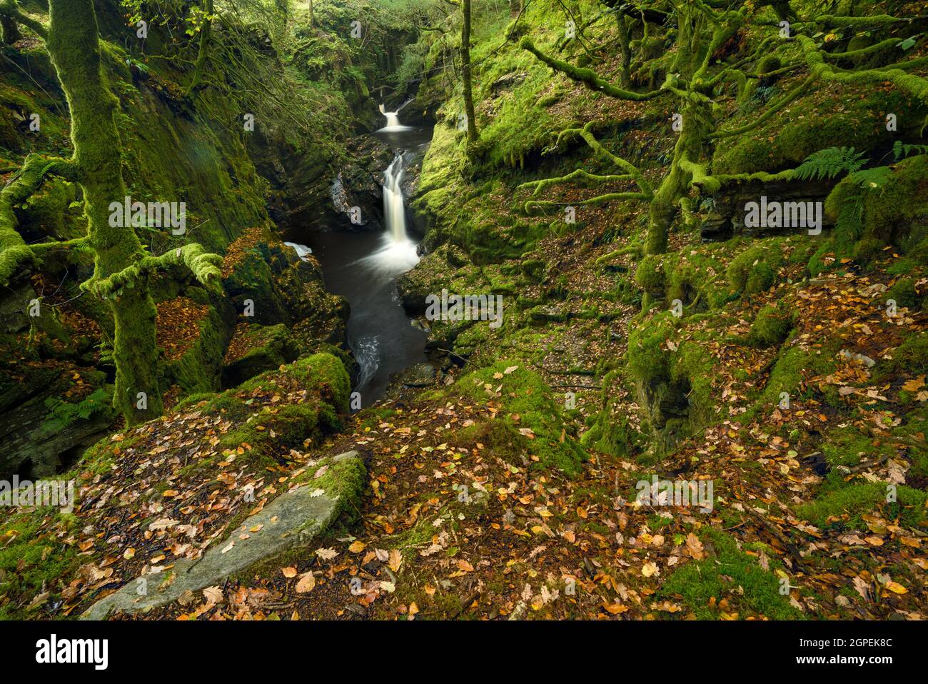 Cynfal river ravine waterfall Stock Photo - Alamy