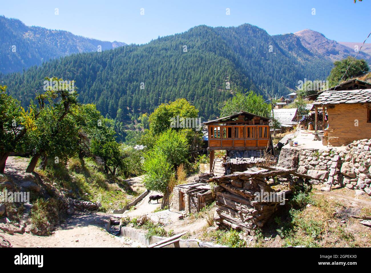 A Traditional rural and remote village in the Himalayas, Himachal ...