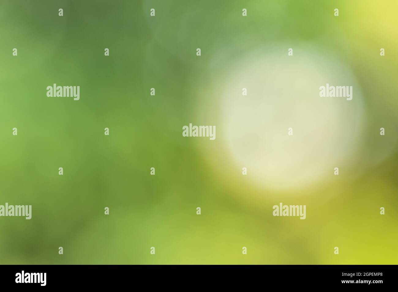 Bokeh from natural light Stock Photo - Alamy