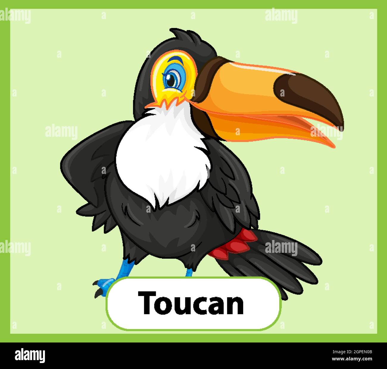 Educational English word card of Toucan illustration Stock Vector Image ...