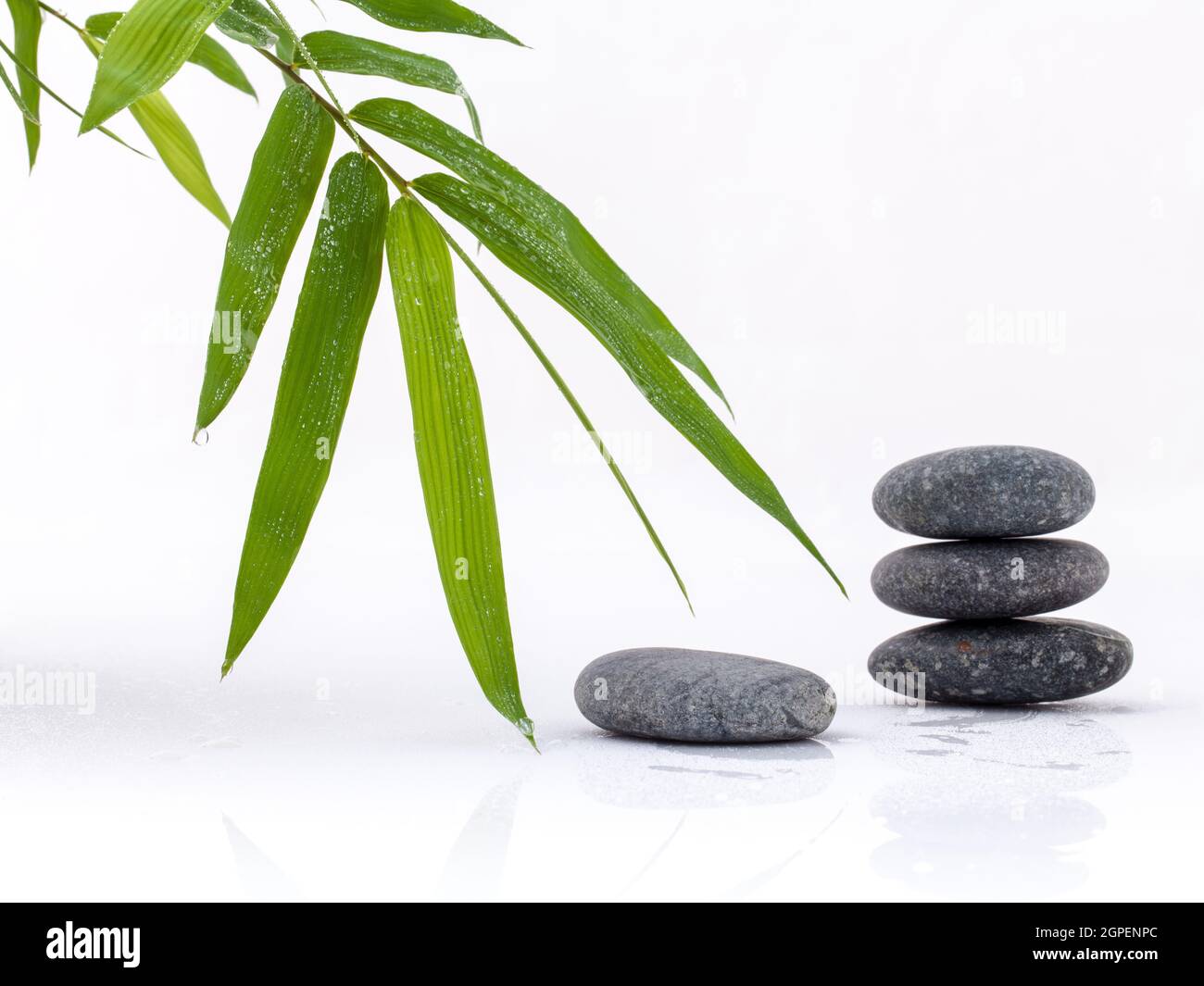 The stacked of Stones spa treatment scene and bamboo leaves with ...
