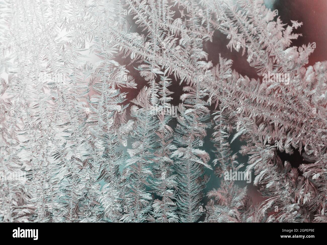 Frozen window. Crystals on a frozen window. Christmas background Stock ...