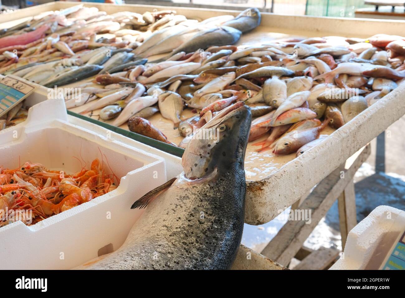 fresh fish market in southern Italy Stock Photo - Alamy