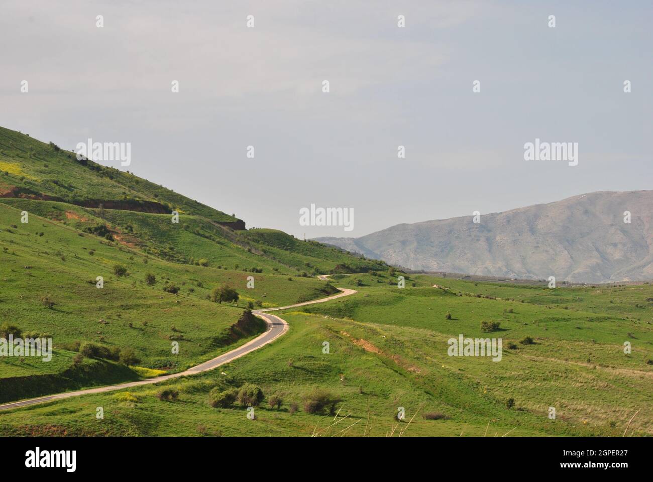 Golan Heights and Mount Hermon , Landscape view of the Golan Heights ...