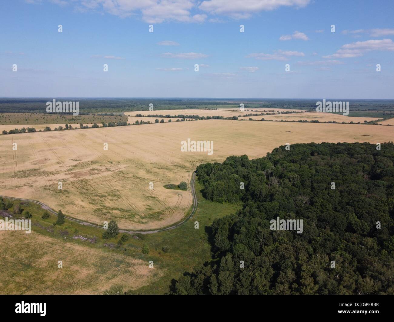 Green deciduous forest next to a farm field. Landscape from a bird's ...