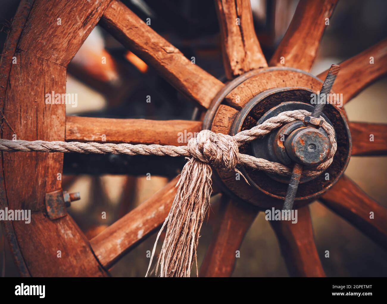 A wooden old wheel from a cart that was used for harvesting in the ...