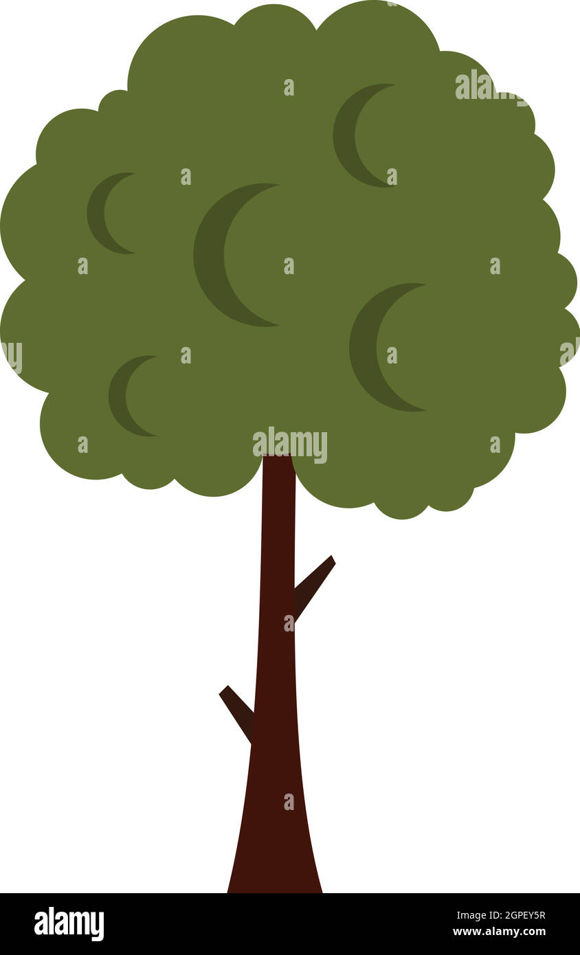 Long branch tree isolated hi-res stock photography and images - Alamy