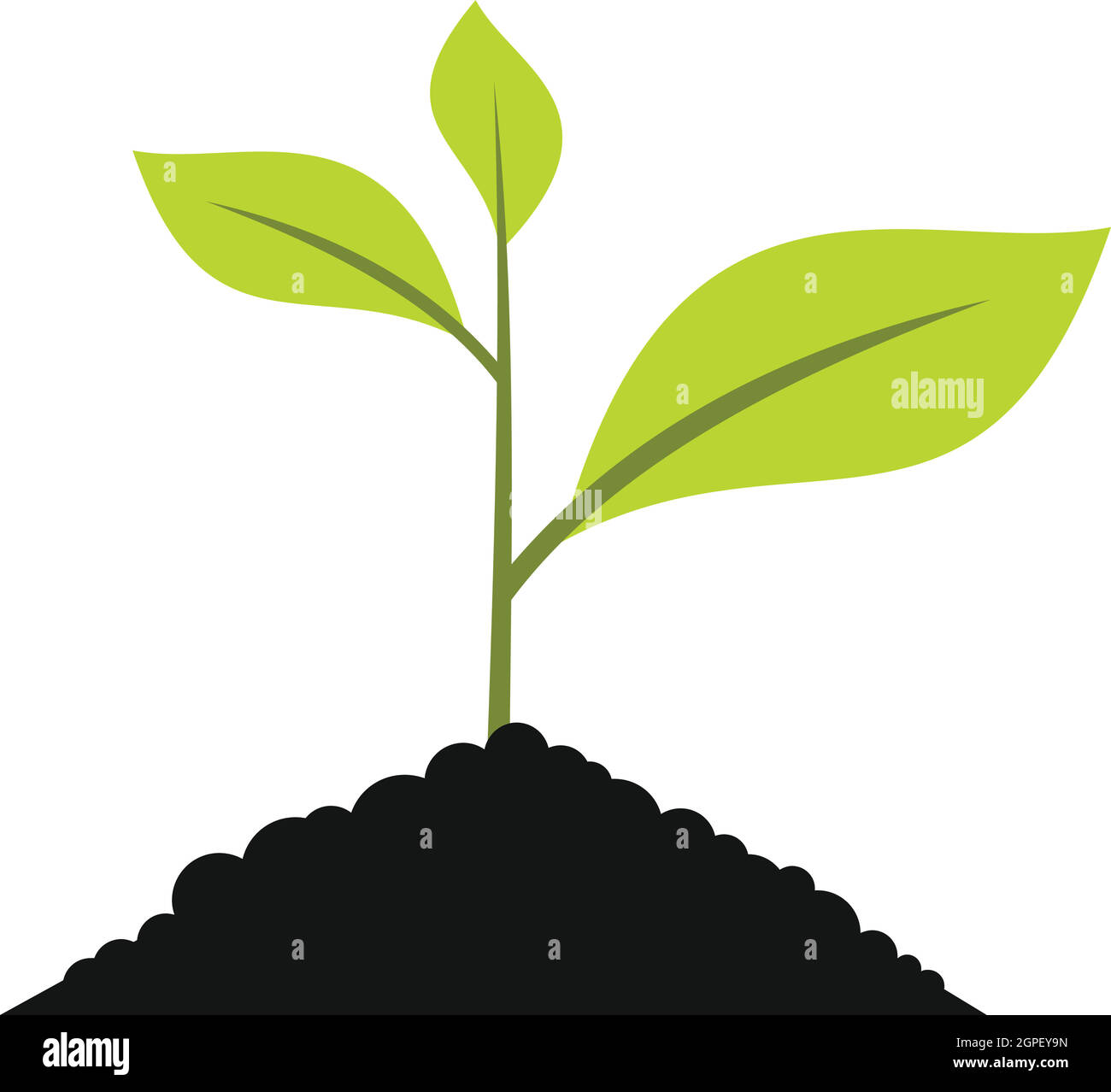 Green sprout growing Stock Vector Images - Alamy