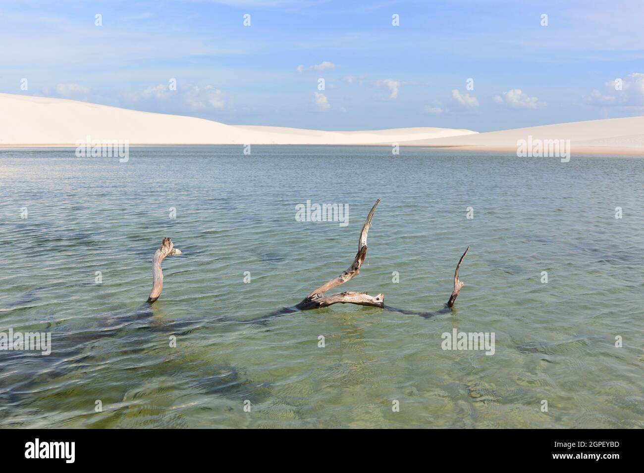 Dunas maranhenses hi-res stock photography and images - Alamy