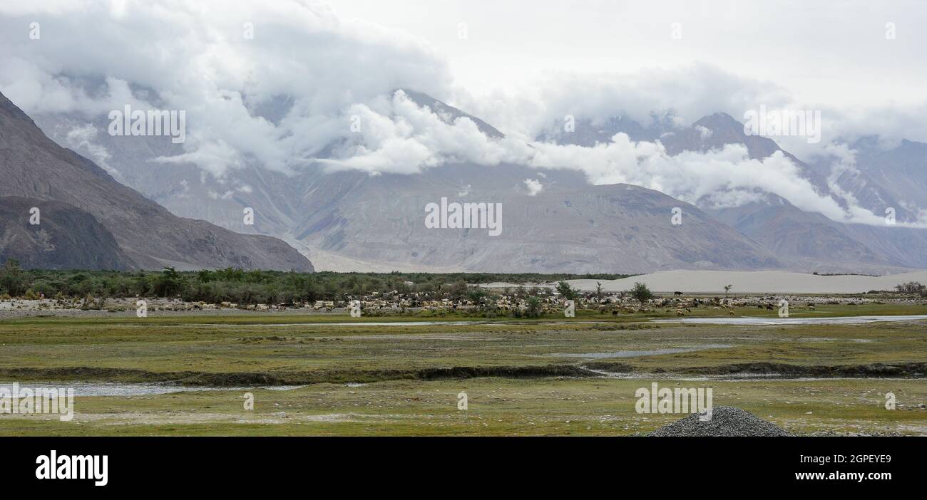 Mountain scenery of Ladakh, Northern India. Ladakh is a barren yet ...