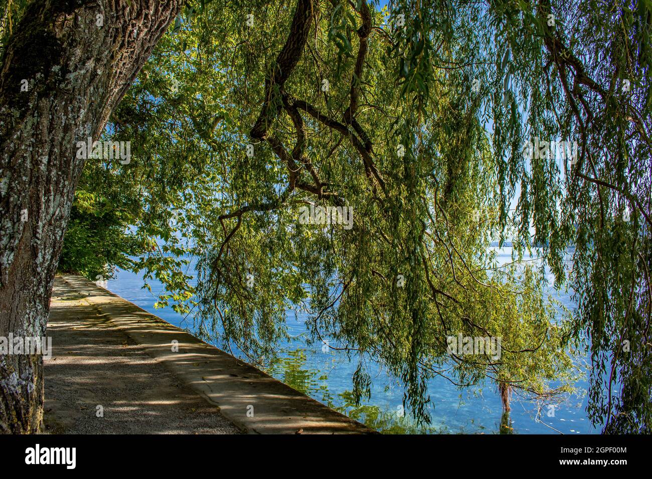 Lake Constance : Island view Stock Photo - Alamy