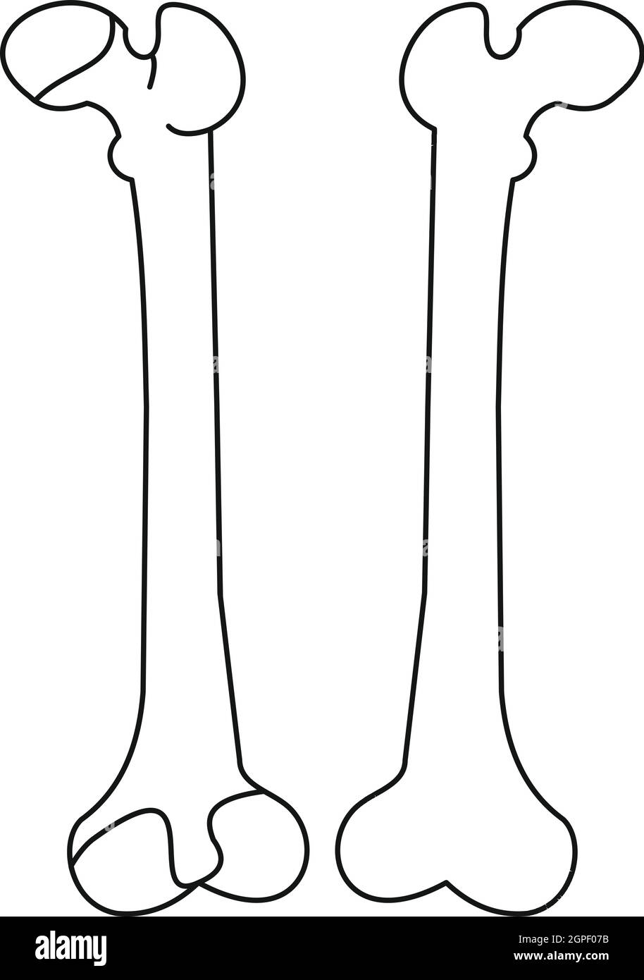 Anatomical outline hi-res stock photography and images - Alamy