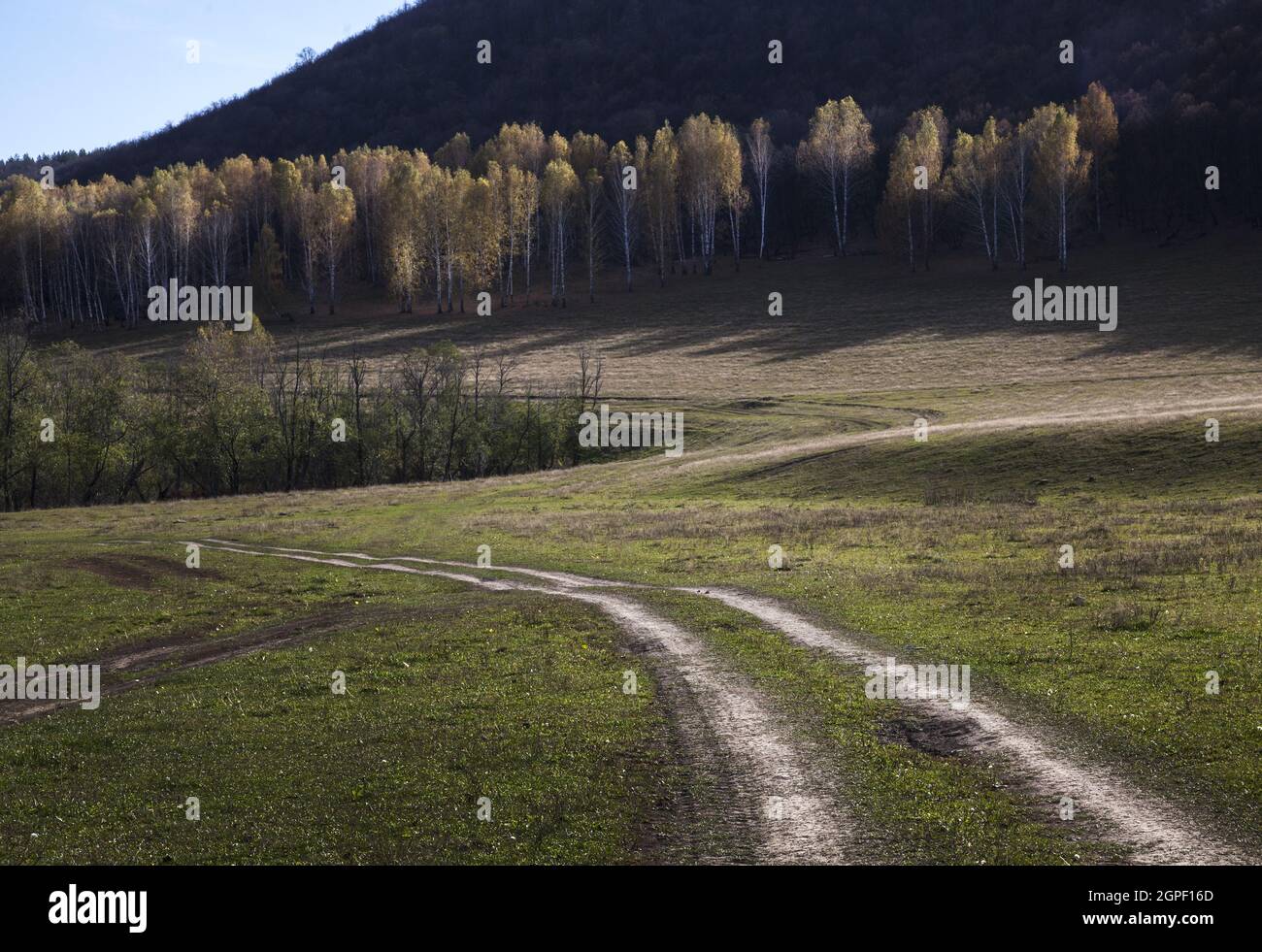 Beautiful landscape with many trees and greenery Stock Photo - Alamy