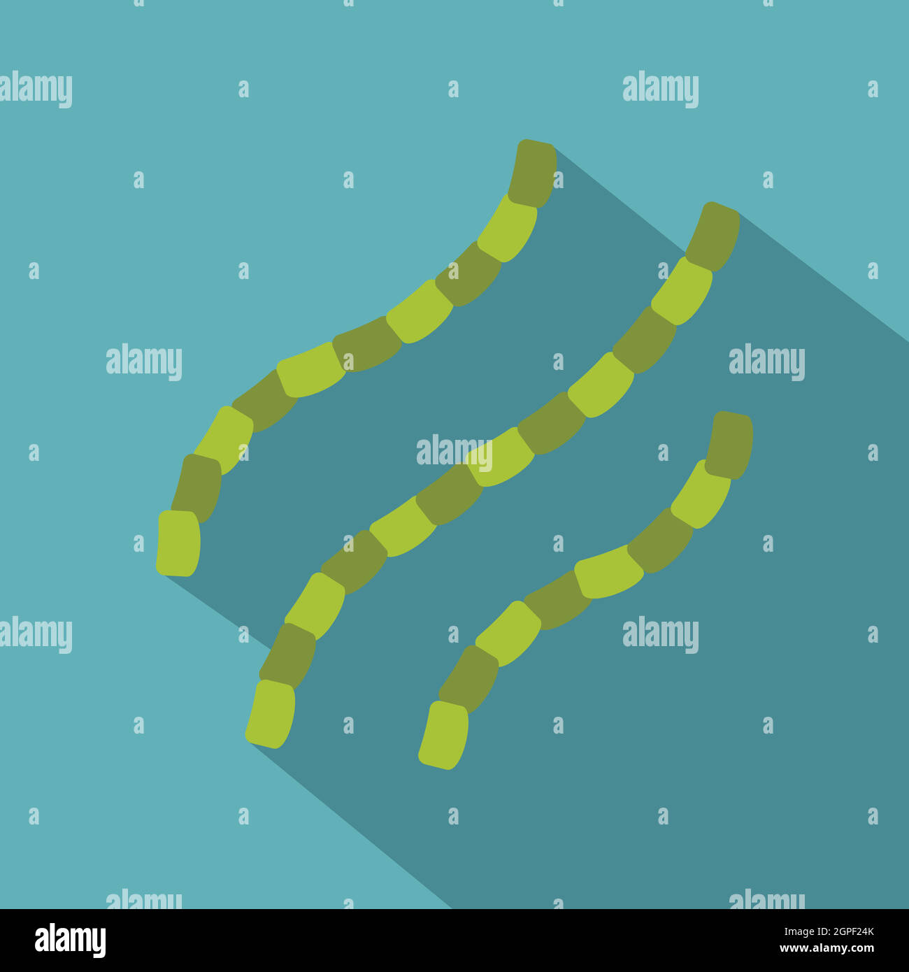 Escherichia coli infection Stock Vector Images - Alamy