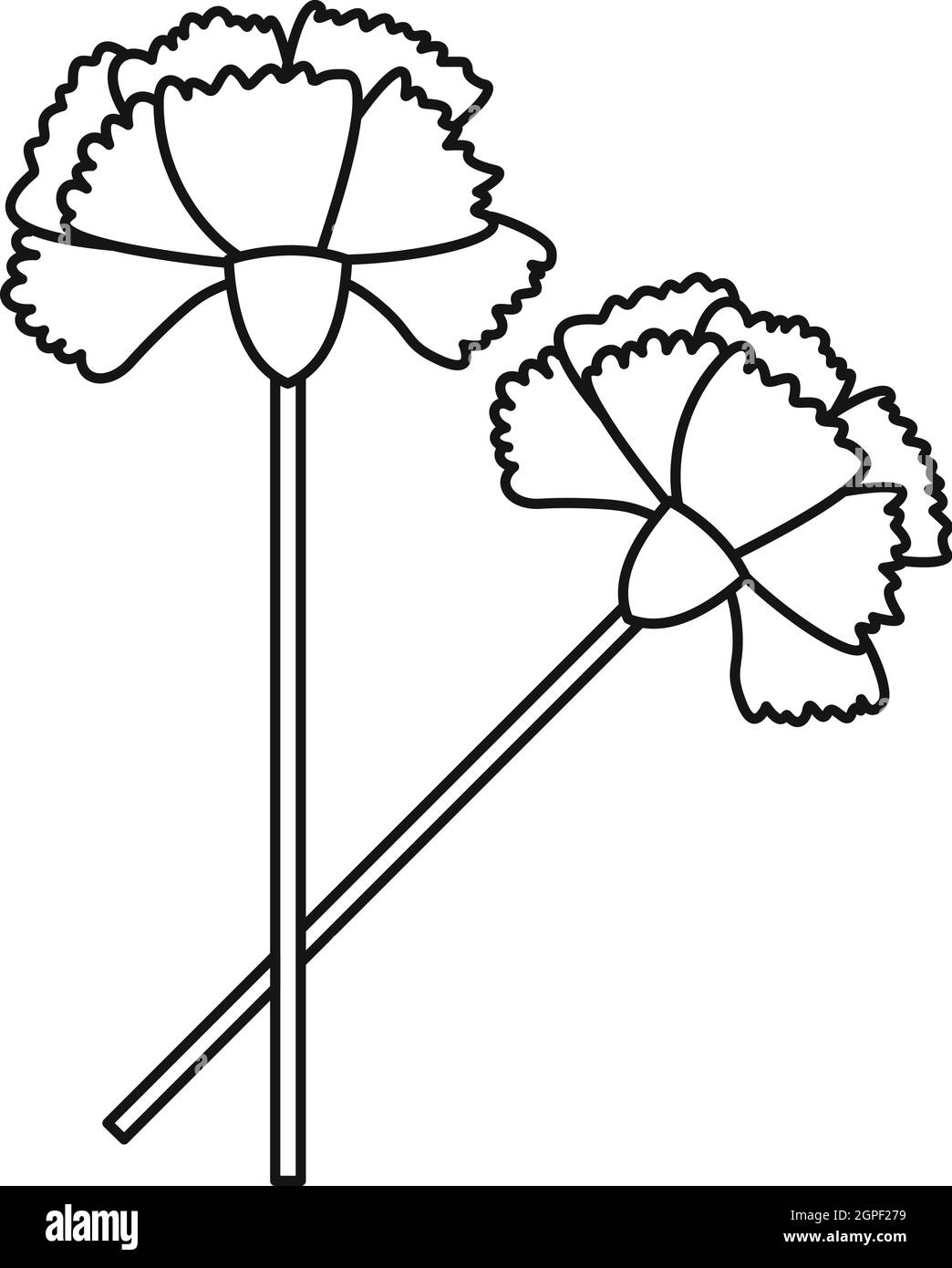 Carnation vector Cut Out Stock Images & Pictures - Alamy