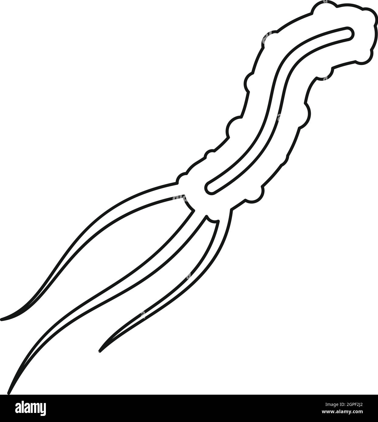 Dangerous bacteria Black and White Stock Photos & Images - Alamy