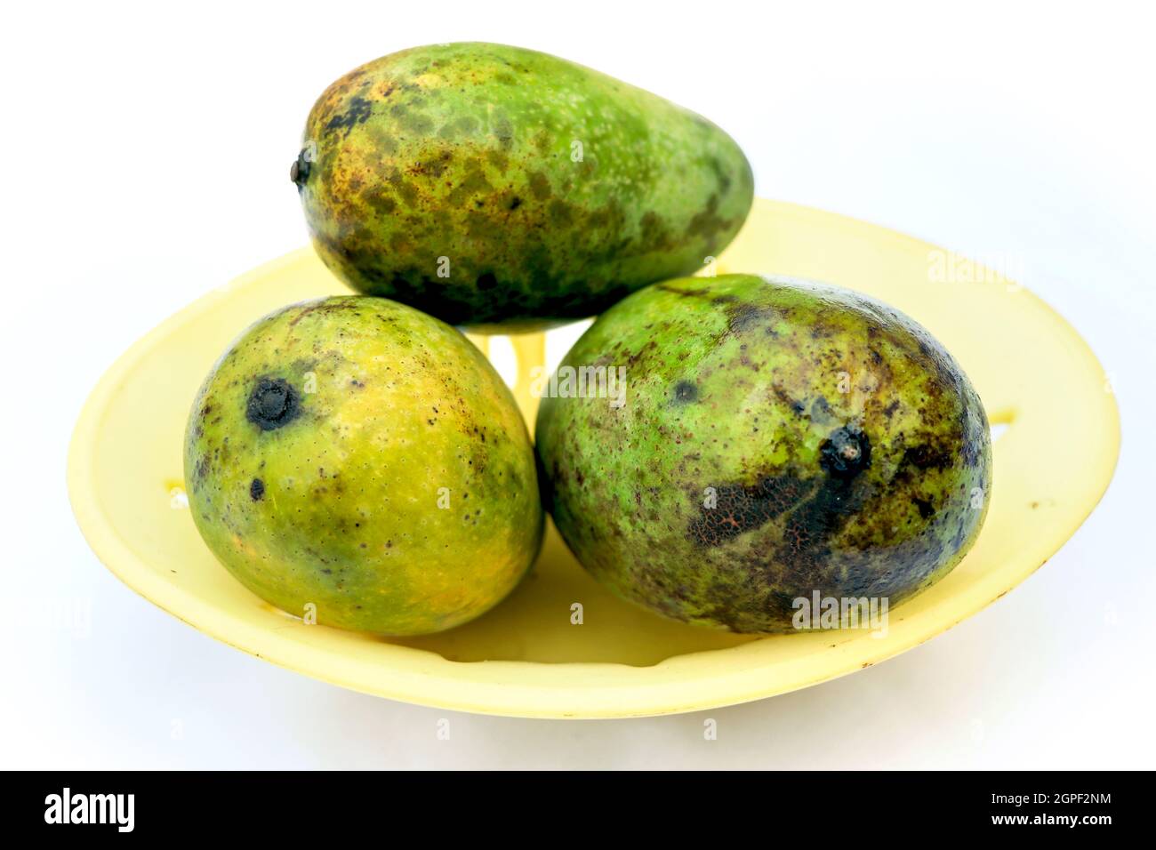 Three large ripe mangoes in a basket isolated on white background Stock ...