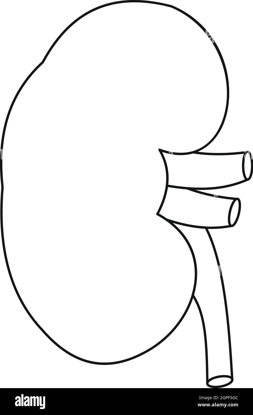 Kidney icon, outline style Stock Vector Image & Art - Alamy