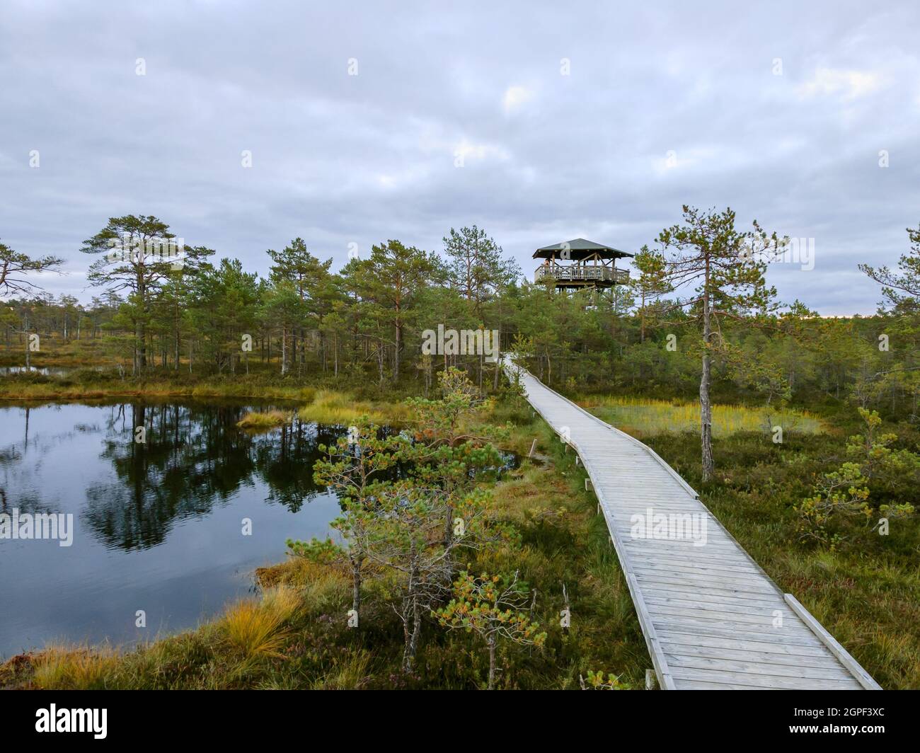 Viru bog trail hi-res stock photography and images - Alamy