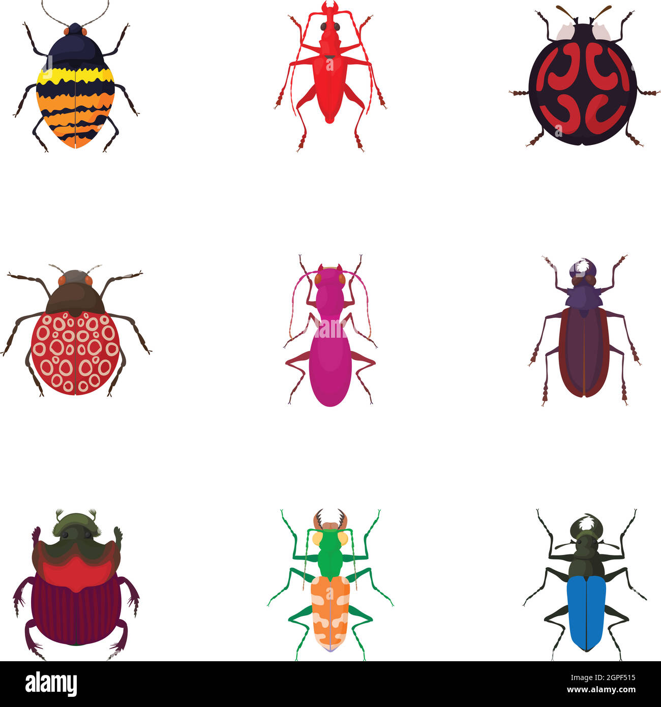 Insect order coleoptera Cut Out Stock Images & Pictures - Alamy