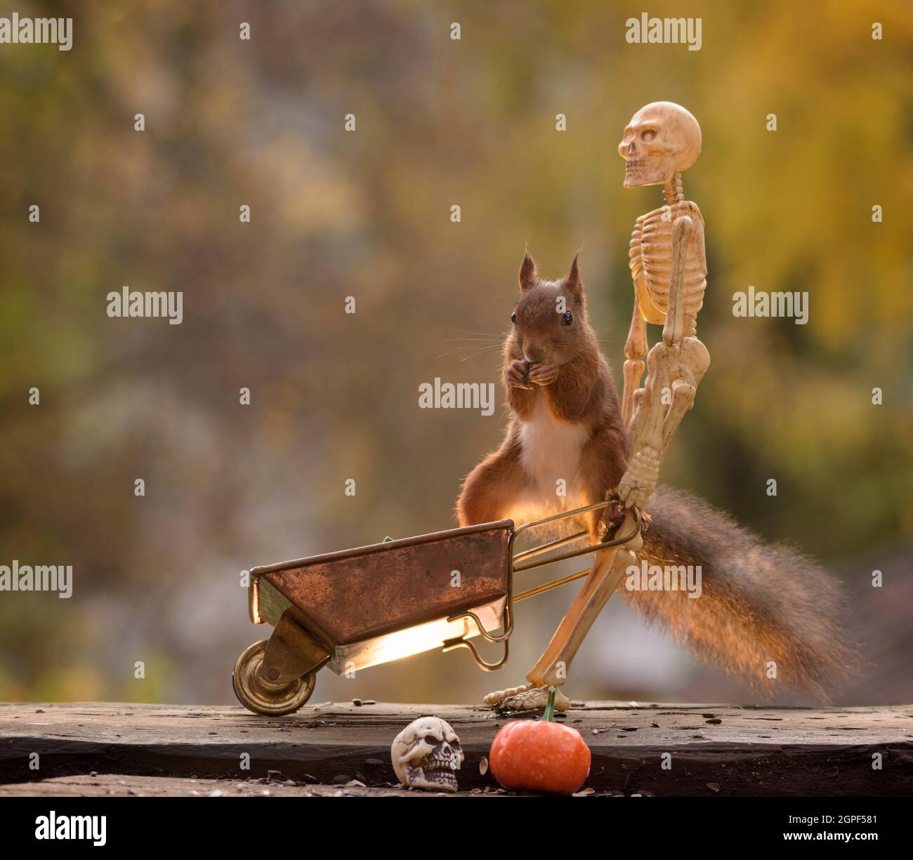 Passenger wheelbarrow hi-res stock photography and images - Alamy