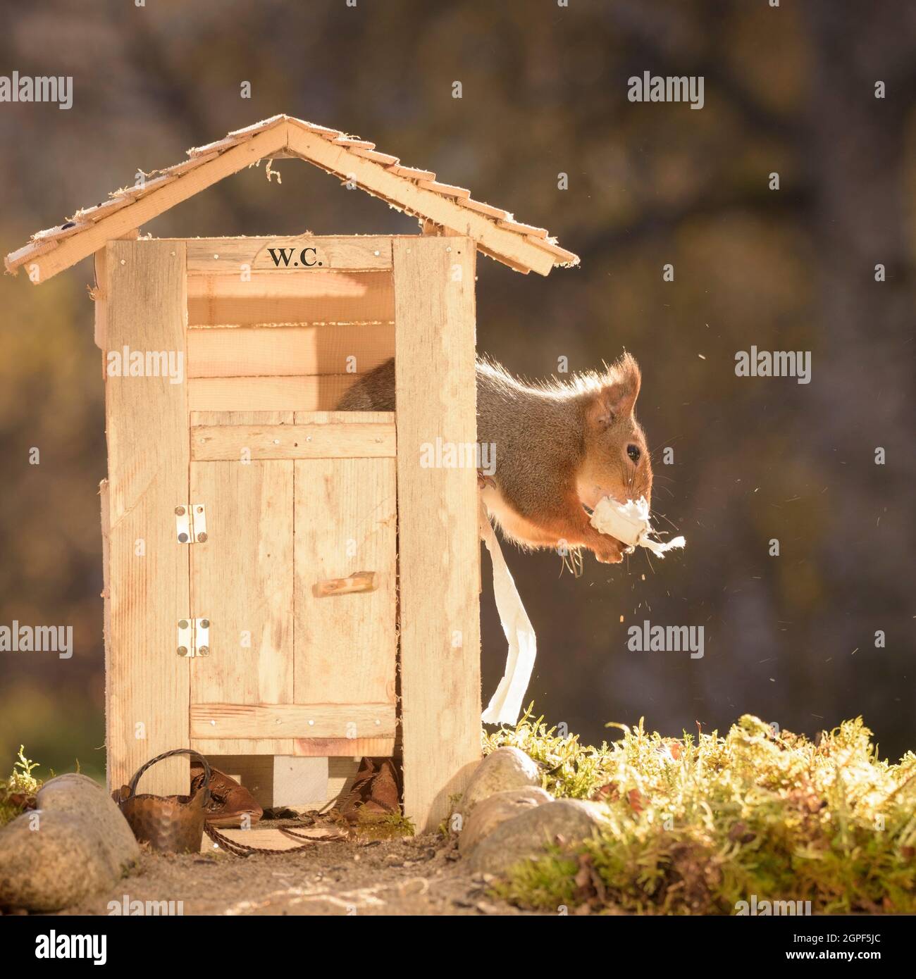 Outside toilet paper hi-res stock photography and images - Alamy