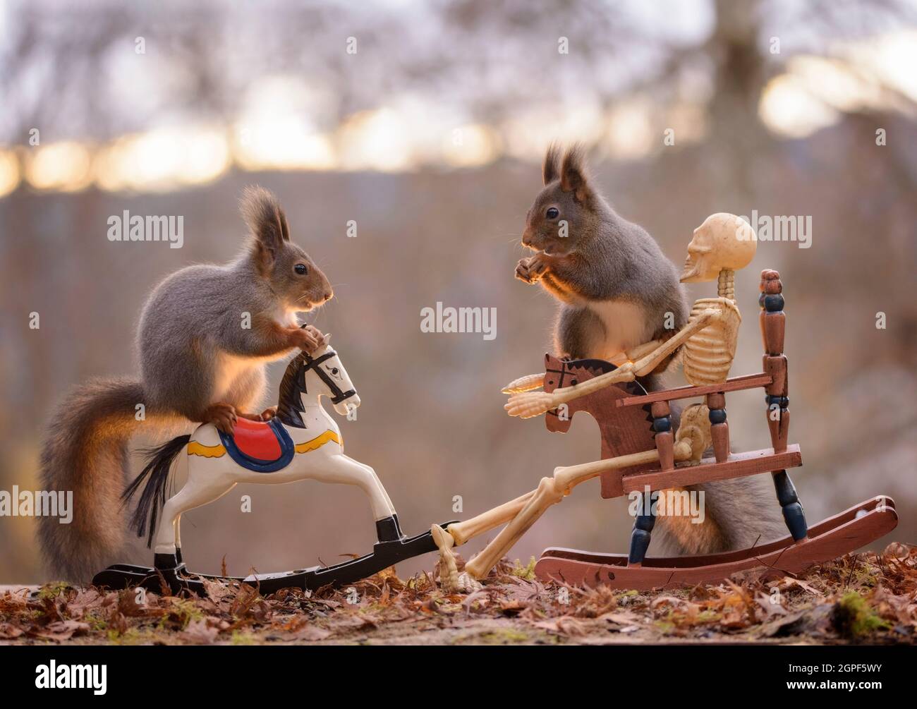 Rocking chair ghost hi-res stock photography and images - Alamy