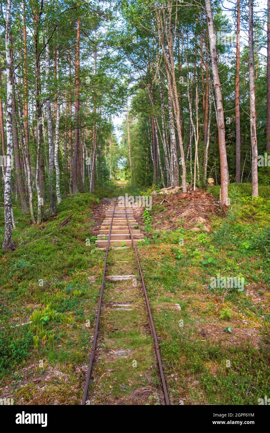 Peat bog railway hi-res stock photography and images - Alamy