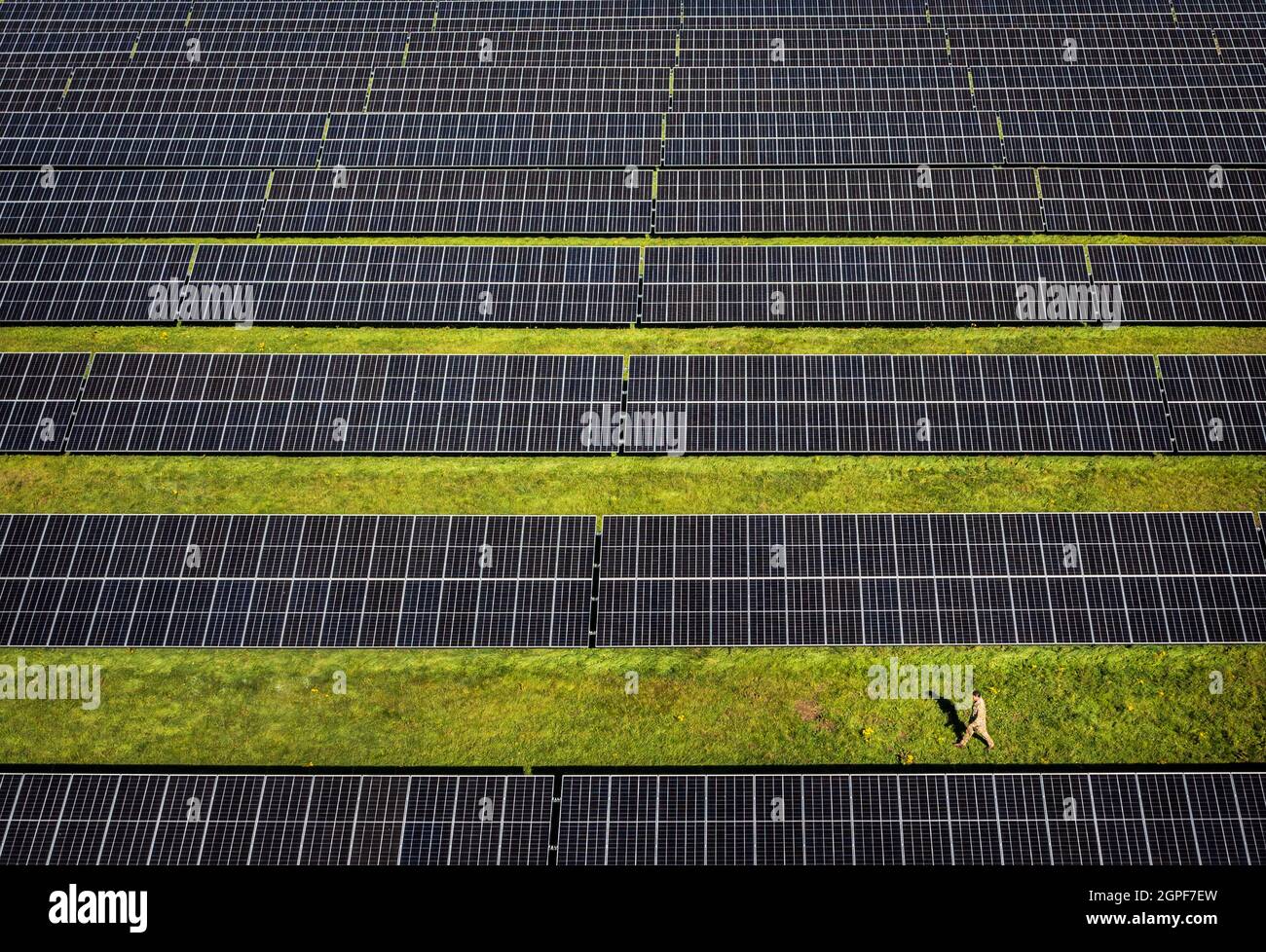 Major David Owen walks through a field of solar panels at the opening ...