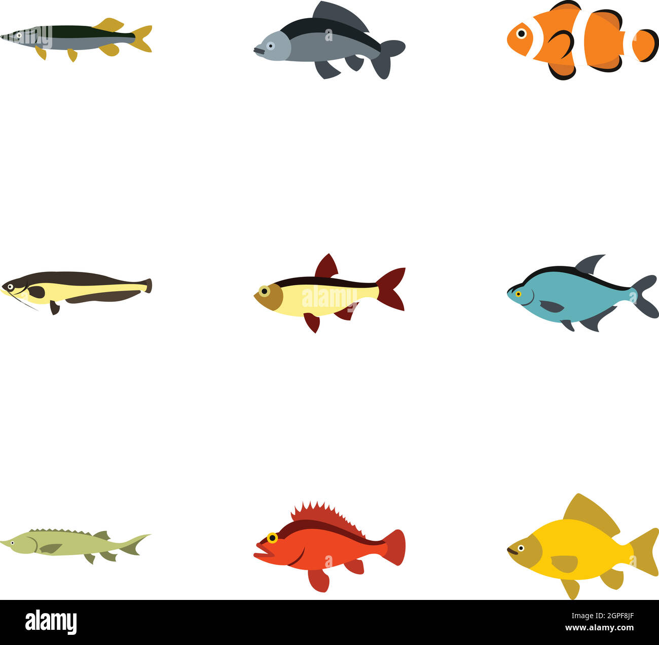 Species of fish icons set, flat style Stock Vector Image & Art - Alamy