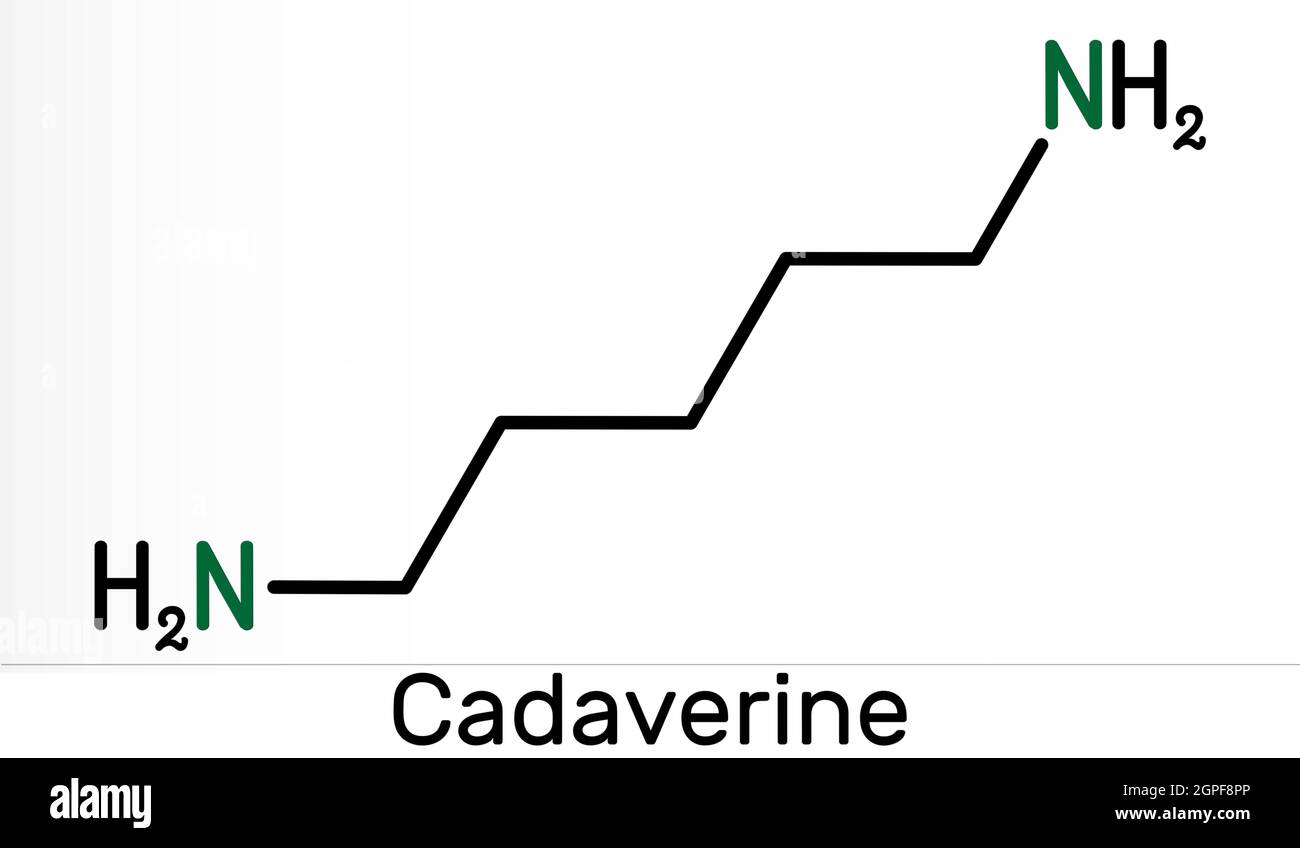 Cadaverine, pentamethylenediamine molecule. It is foul-smelling diamine ...
