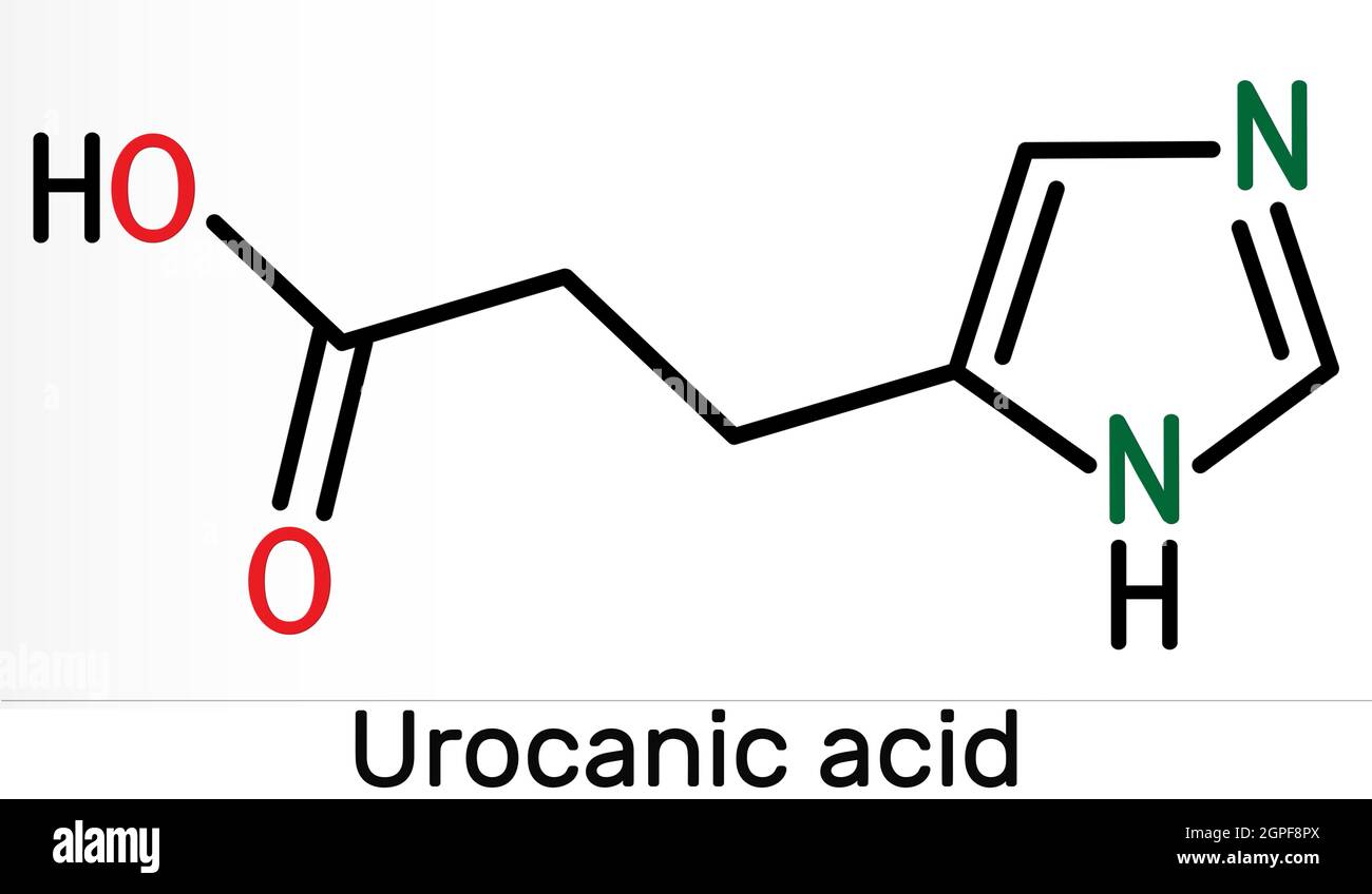 Urocanic acid molecule. It is intermediate product in the metabolism of ...