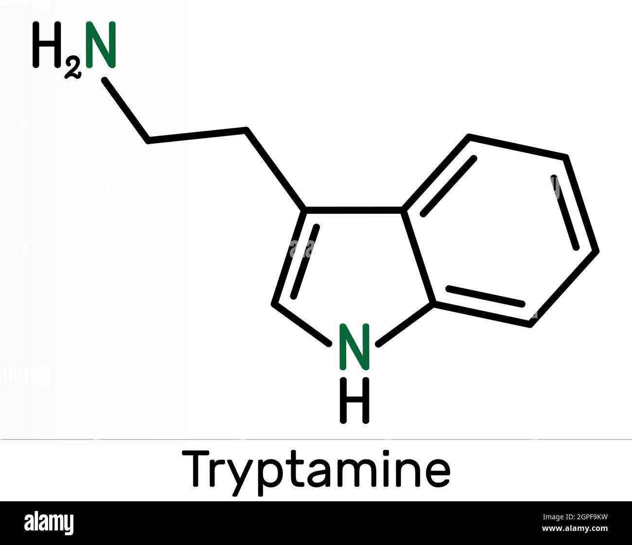 Tryptamine molecule. It is alkaloid, aminoalkylindole. Skeletal ...