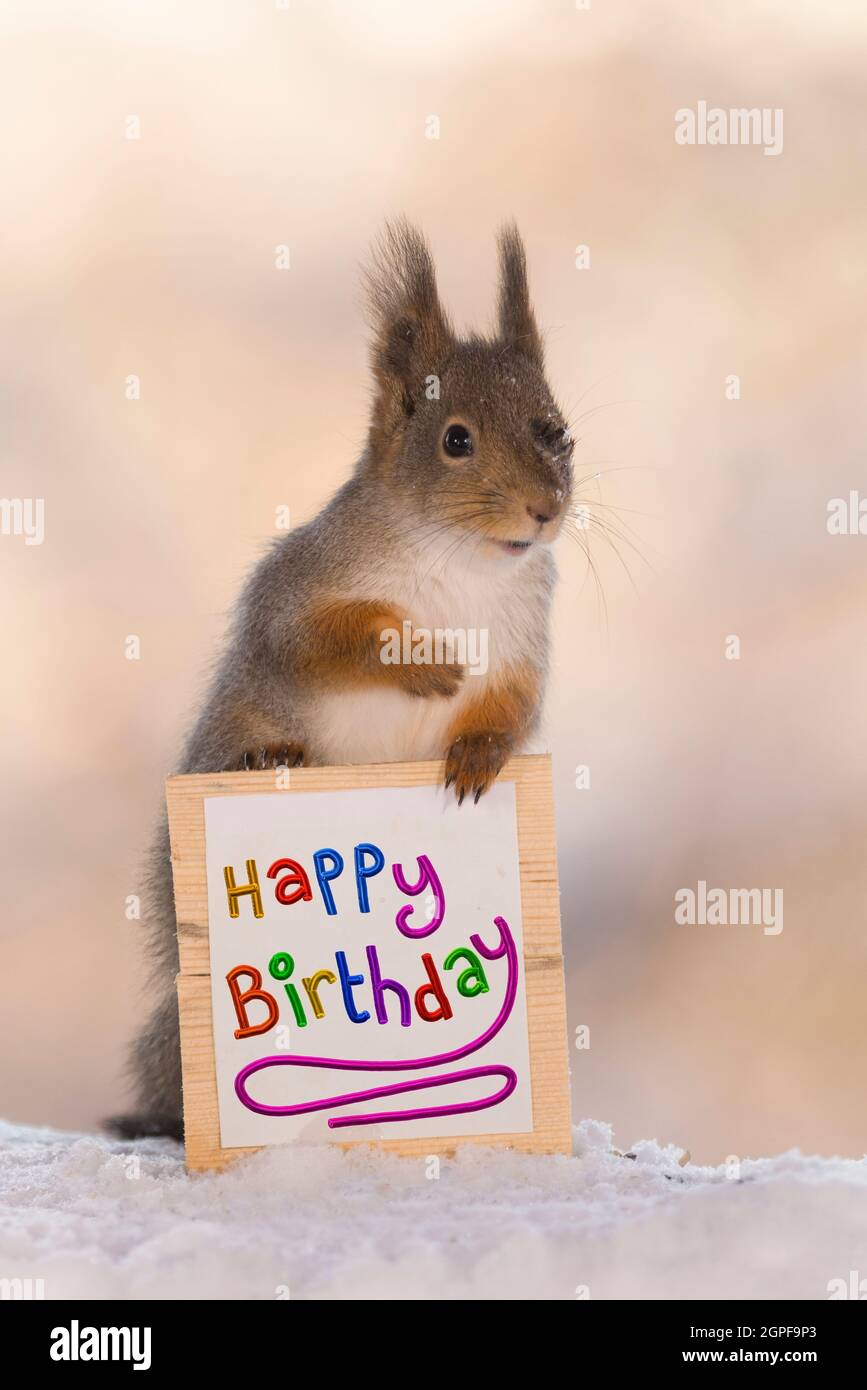 Happy birthday sign hi-res stock photography and images - Alamy